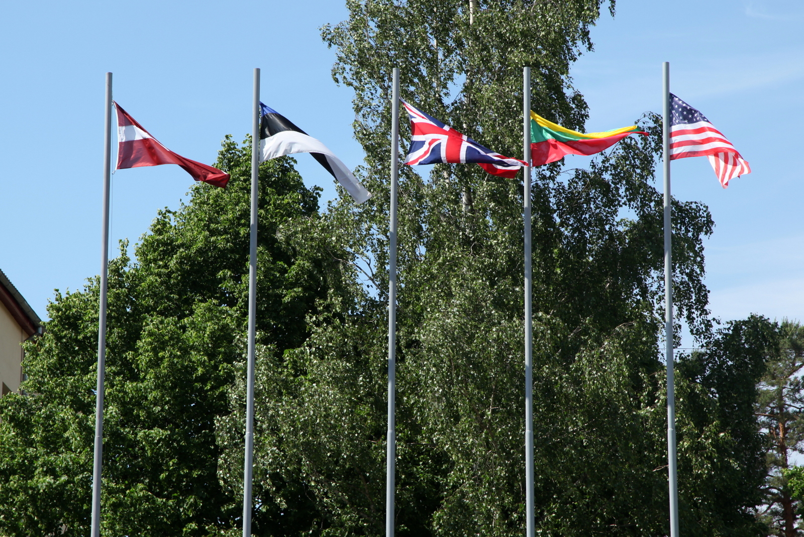 Fighting Infection and Malign Influence - CEPA