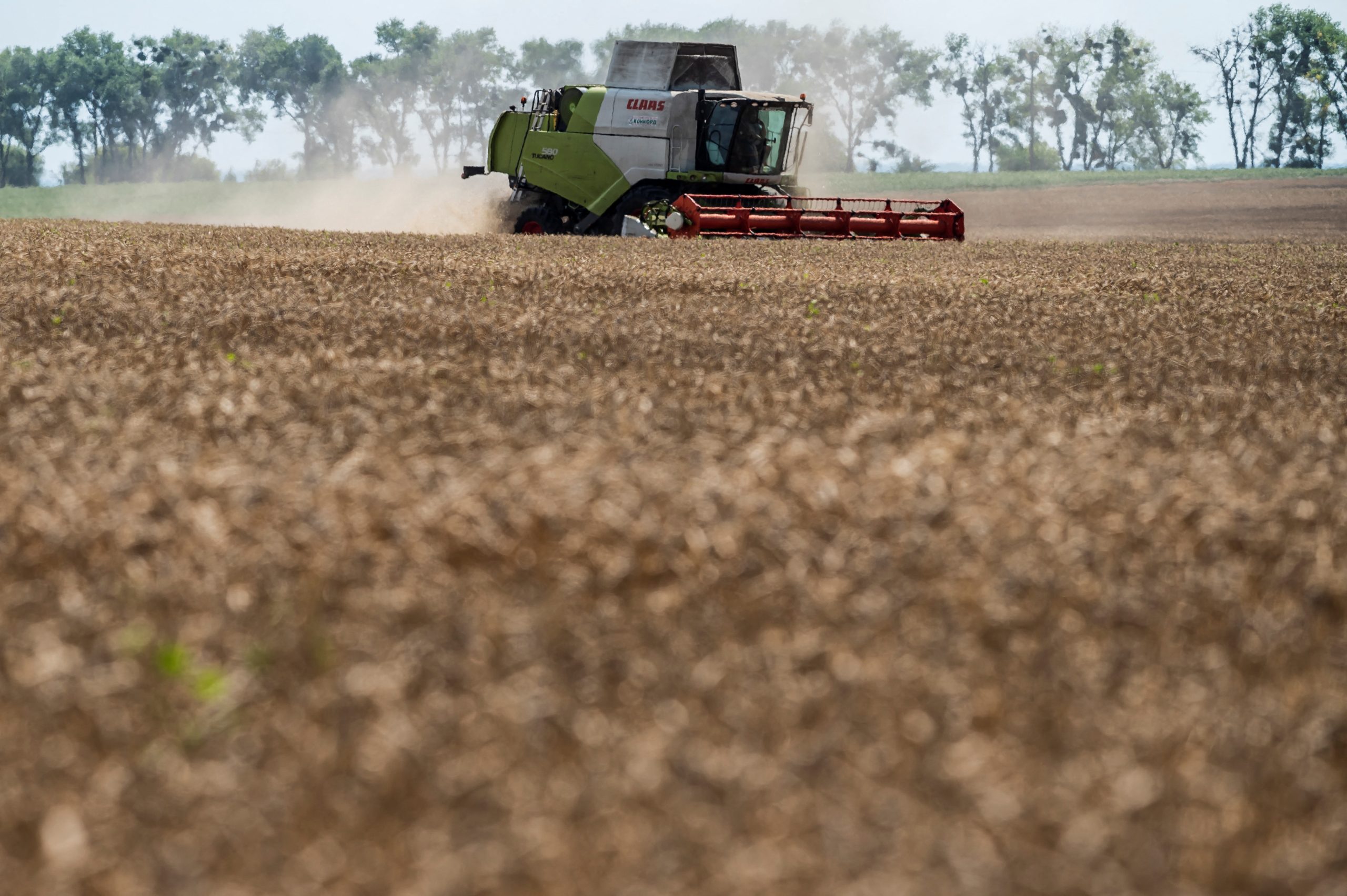 Grain Bans: Fix the Problem, Restore European Solidarity - CEPA