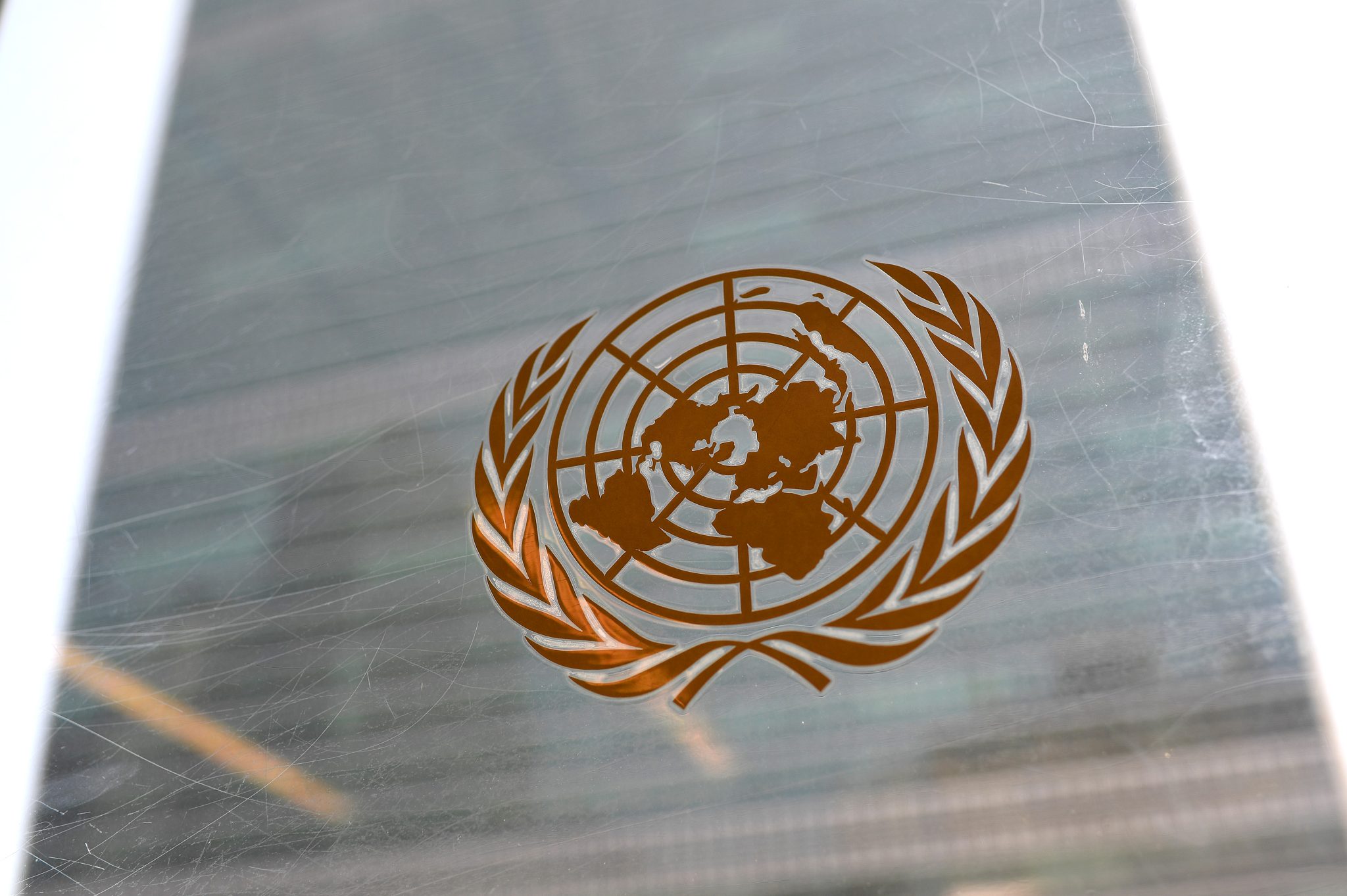 Fiona Alexander | CEPA