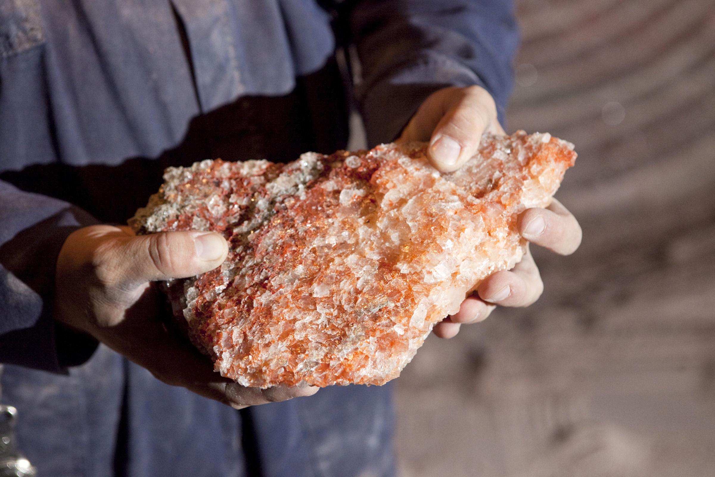 The Next Critical Mineral Battle: Potash and Phosphate - CEPA